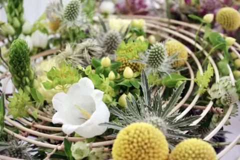 An exclusive Masterclass | Marginpar